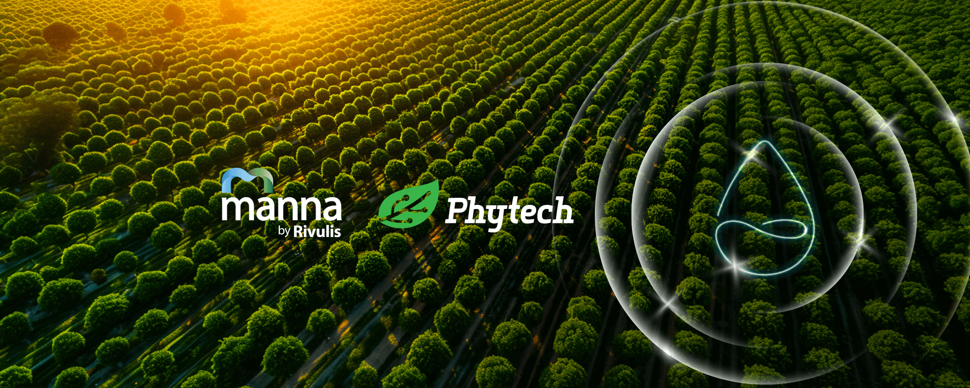 Rivulis and Phytech Announce Strategic Partnership to Advance ...
